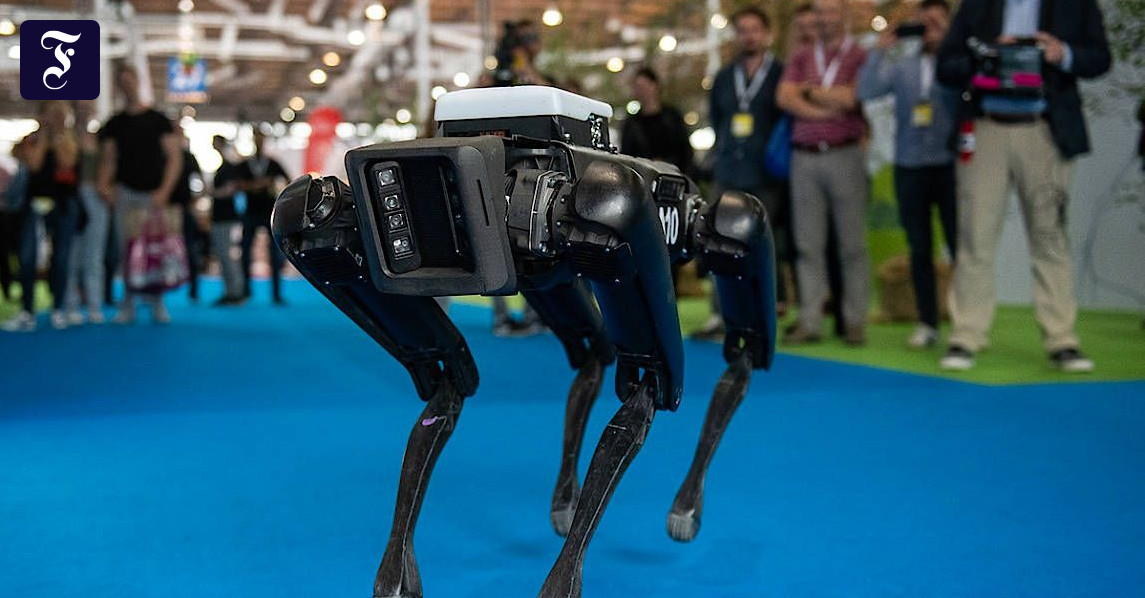 Roboter kommen auf den Hund