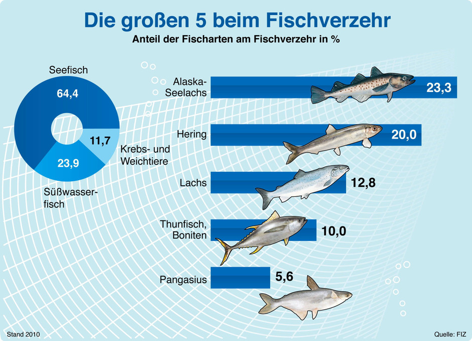 Fangquoten: Nordsee-Fischer dürfen mehr Hering fangen - Wirtschaft - FAZ