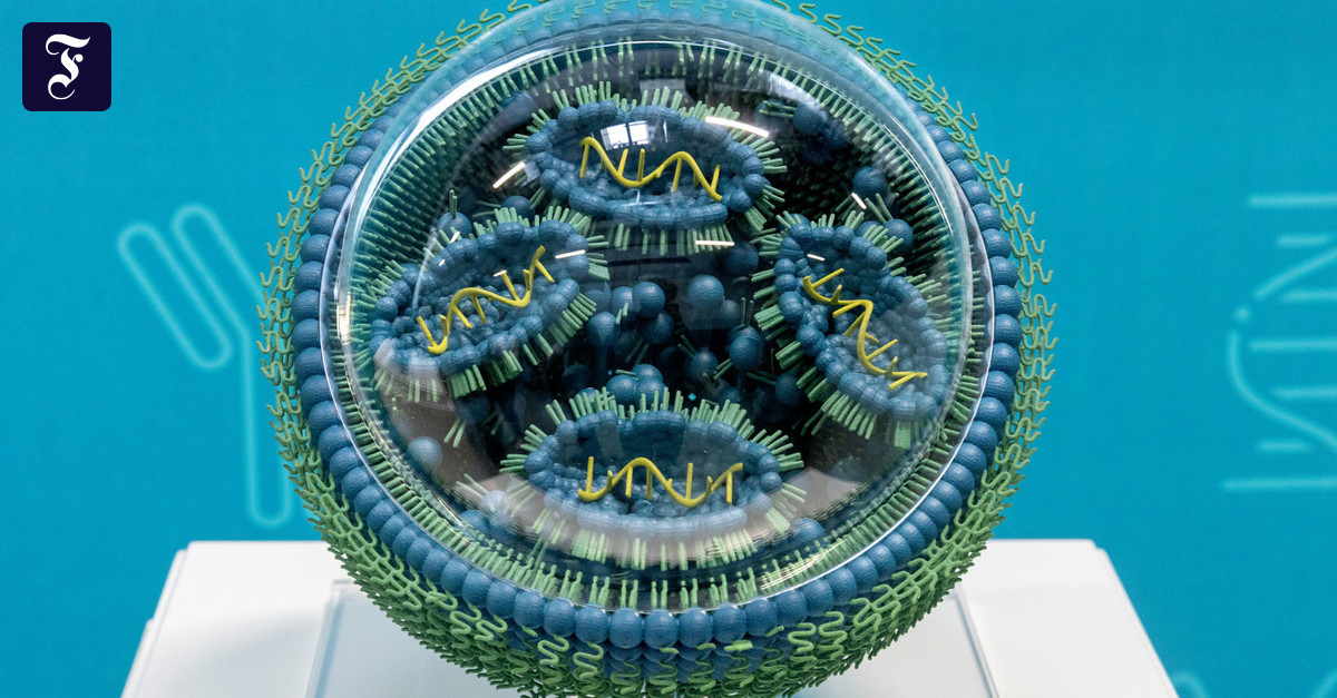 mRNA-Spitze dank Biontech und Curevac? Wie Deutschland den Vorteil ...