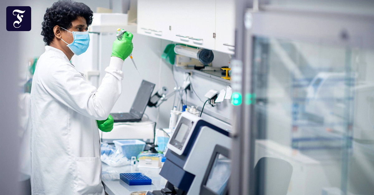 Immer mehr Forschung „Made in Germany“