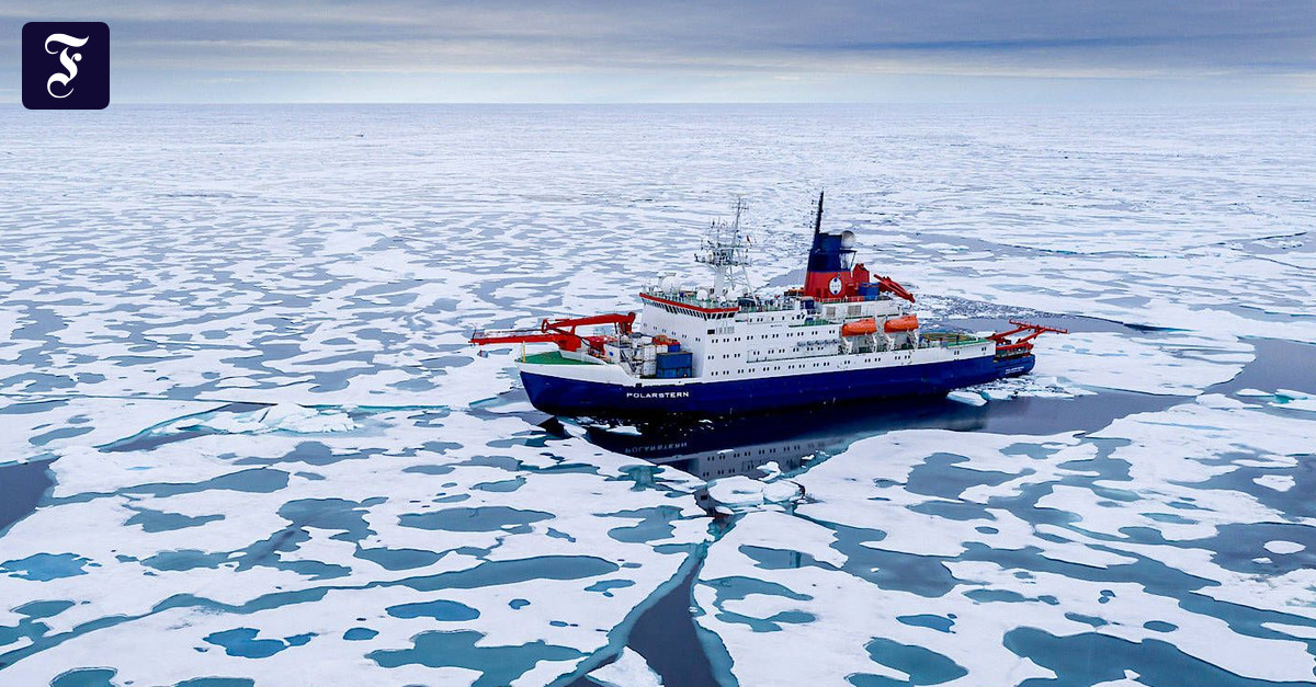 Die Polarstern im Eis: Die Expedition des Jahrhunderts