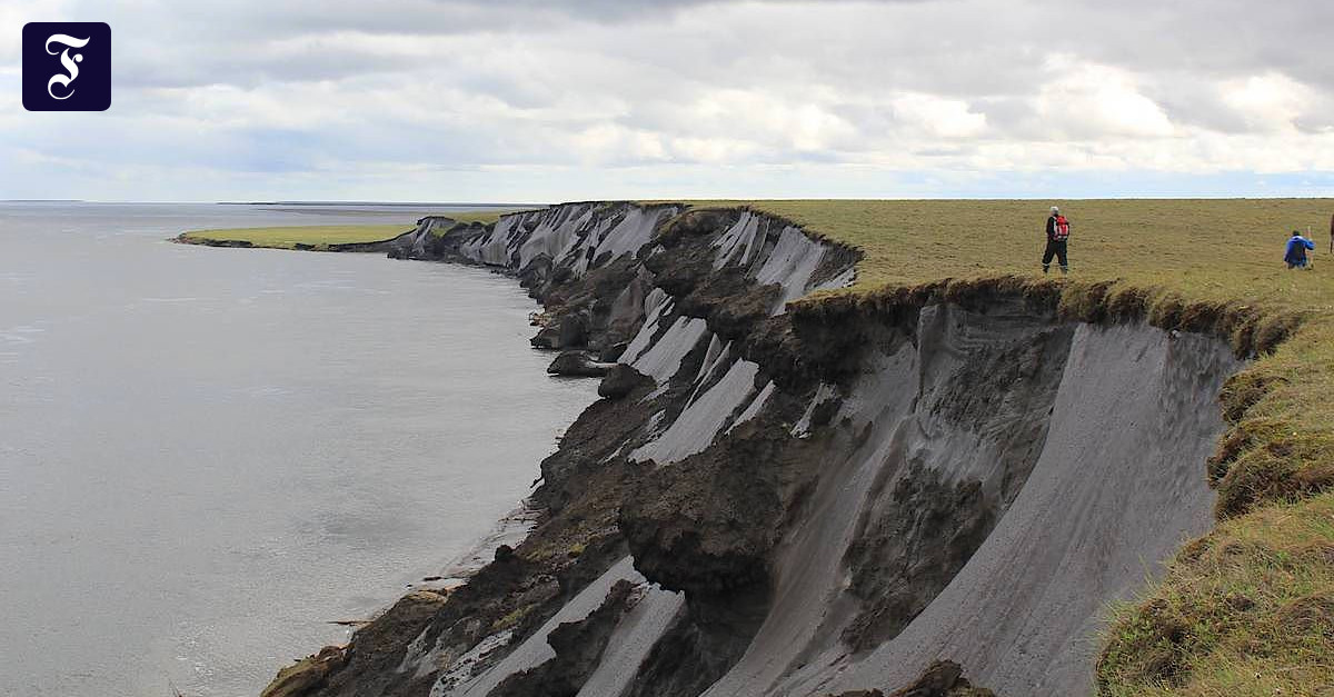 Eiszeitliche Moore: Torfschichten können große Mengen CO₂ binden