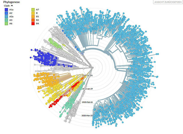 Bilderstrecke zu: Mutierte Gene von Sars-CoV-2: Wohin driftet die Corona-Pandemie? - Bild 4 von ...