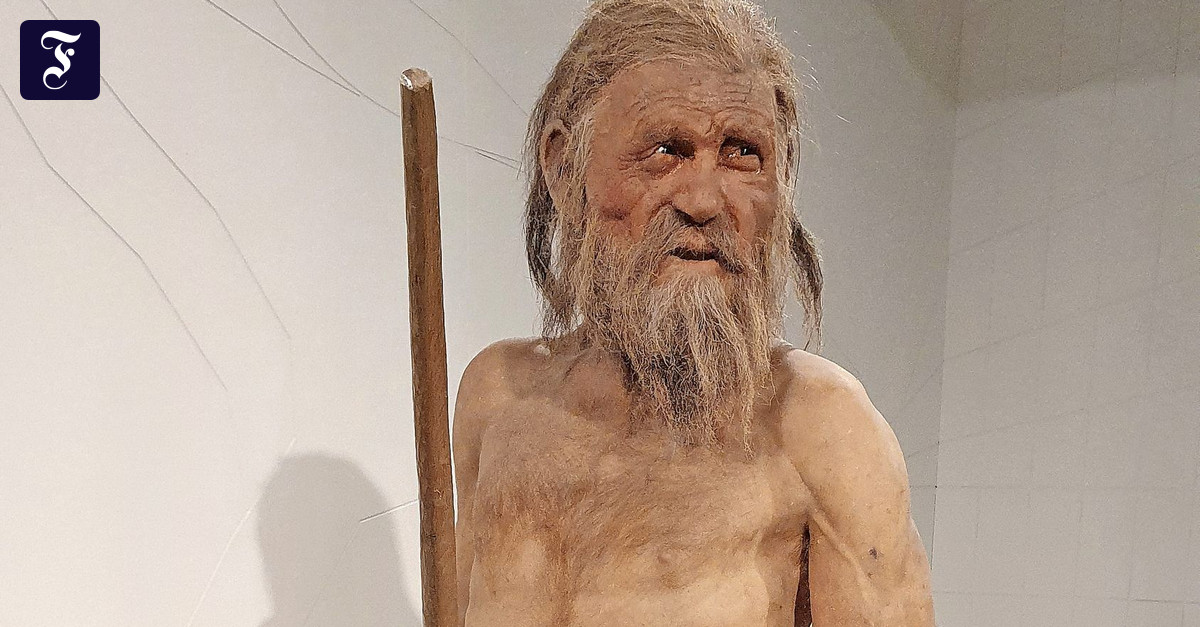 Ötzi: Neuigkeiten über die DNA der Gletschermumie