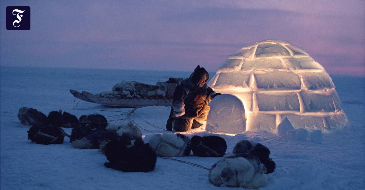 Iglu bauen: Captain Iglu herrscht im Großstadtpark - Nah - FAZ