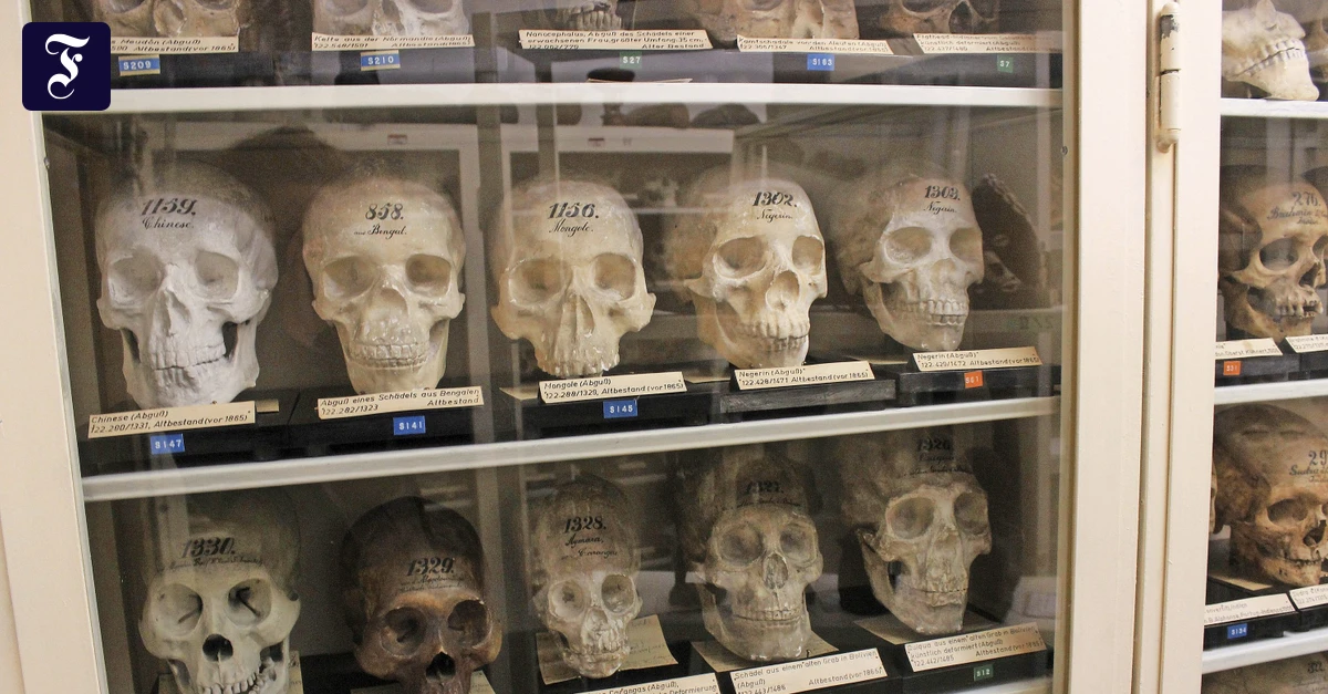 Florian Klenks Buch „Über Leben und Tod“: Riechen Sie das? Es menschelt ...