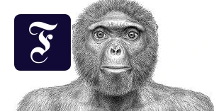 Ein erstaunlich vollständiges Skelett des Vormenschen Ardipithecus ...