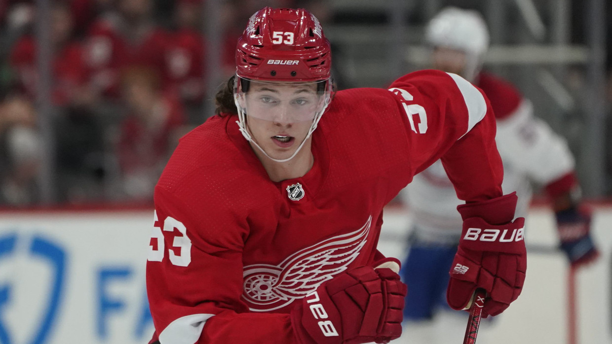 Eishockey: Moritz Seider und Thomas Greiss in NHL stark