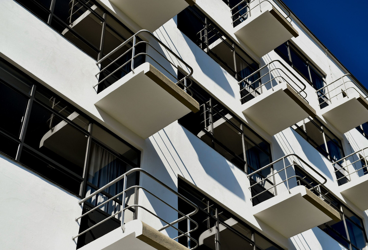 AfD gegen Bauhaus: Warum der Antrag ein Eigentor ist
