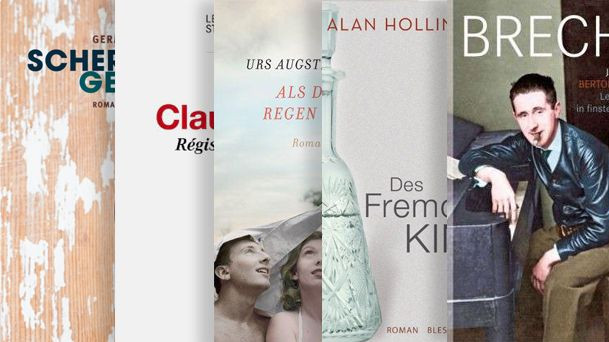 F.A.Z.-Romane der Woche: Plemplem in Quemquemtréu