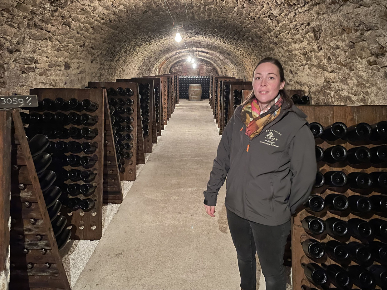 Das Firmament in der Flasche: Champagner in Épernay