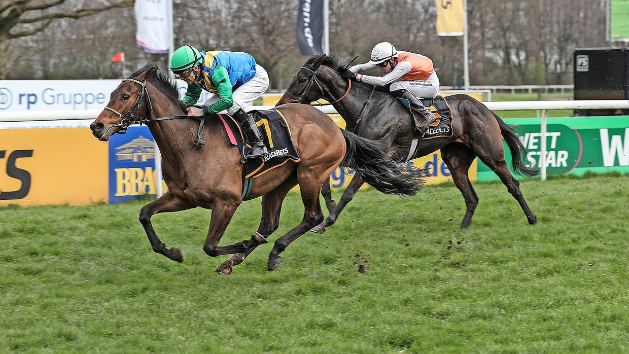 Galopp-Rennsport: Millionen gegen den schleichenden Niedergang