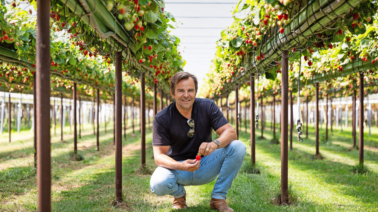 Wirtschaft im Osten: Erdbeerhof oder Elektrolyseur?