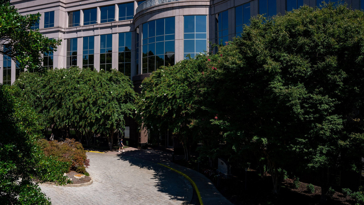 Russland bezahlt rechte Influencer, um US-Wahlkampf zu beeinflussen | FAZ