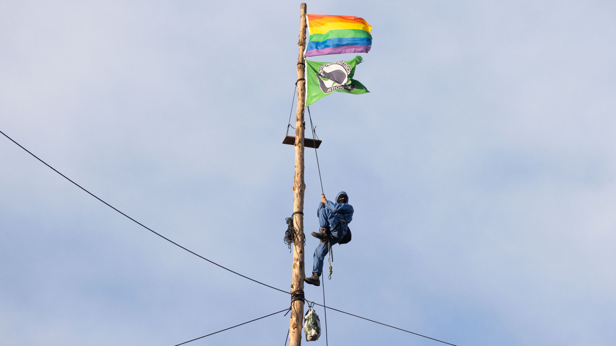 Debatte über Klima-Krise: Hedwig Richter antwortet Jürgen Kaube