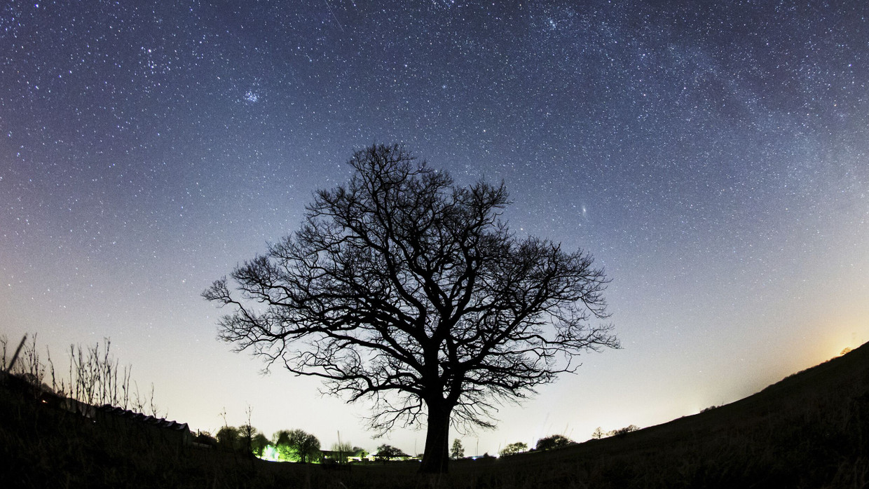 Kolumne „Uni live“: Summa cum laude in Sternzeichenkunde