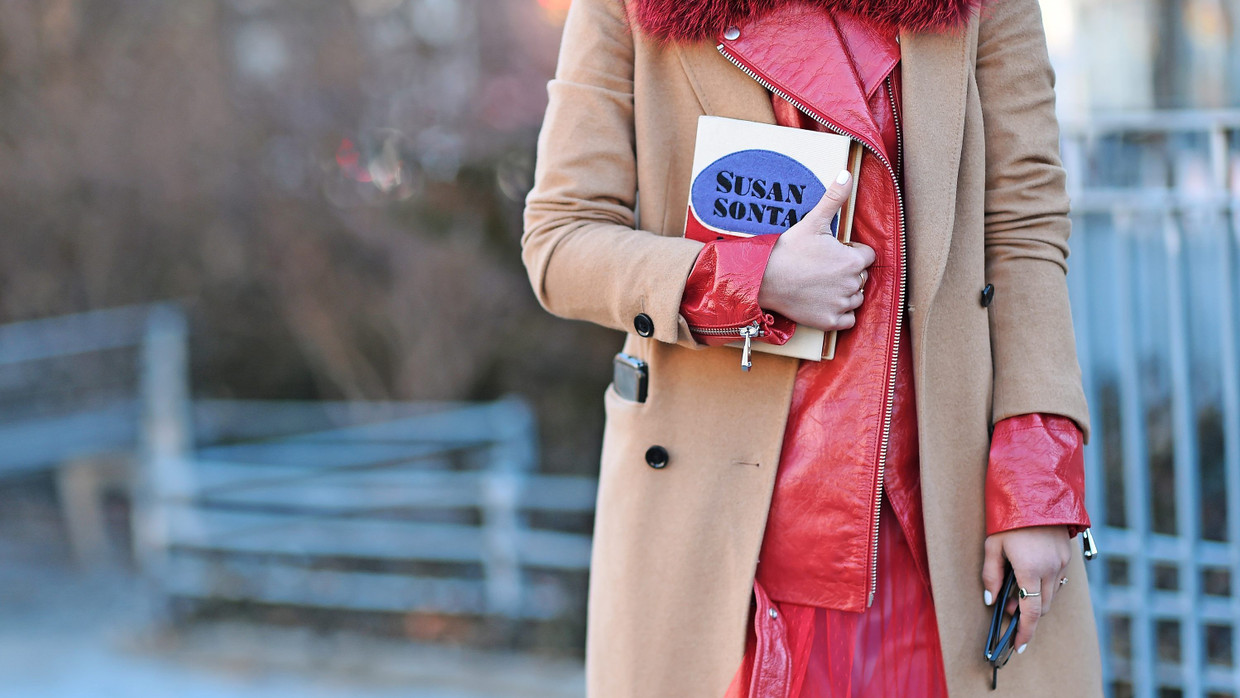 Gründe für Interpretation nach und gegen Susan Sontag | FAZ