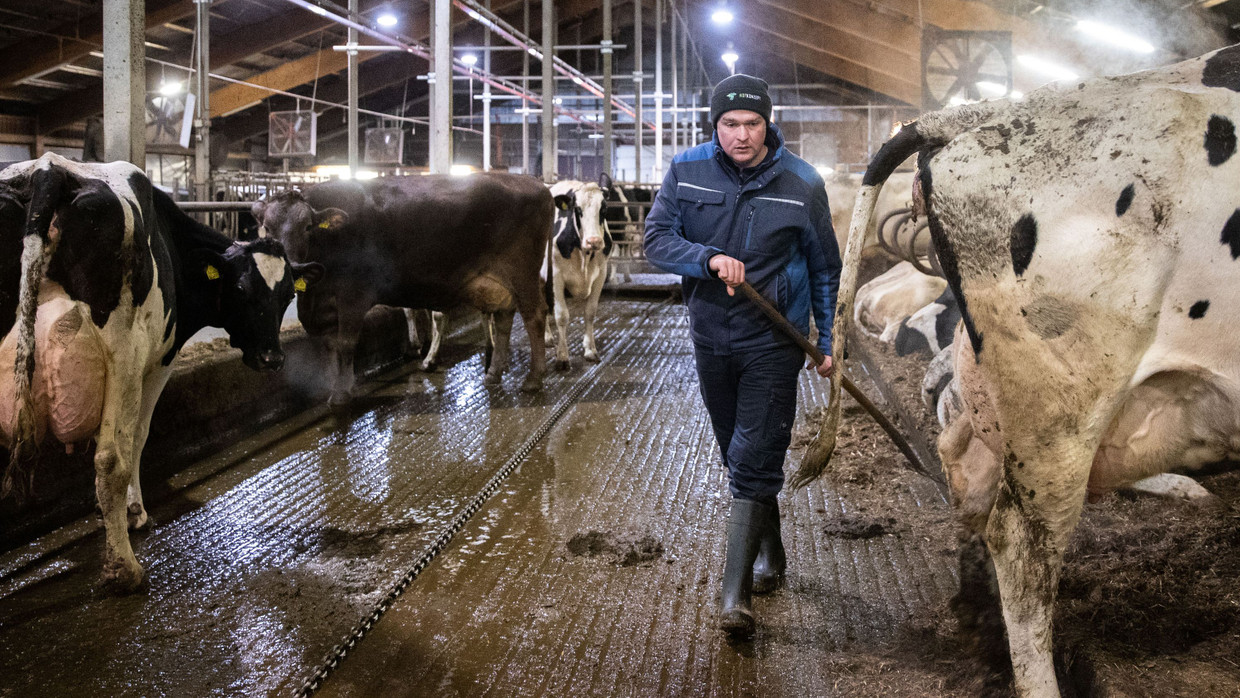 Gründe für Bauernproteste: Spurensuche auf einem Bauernhof im Sauerland