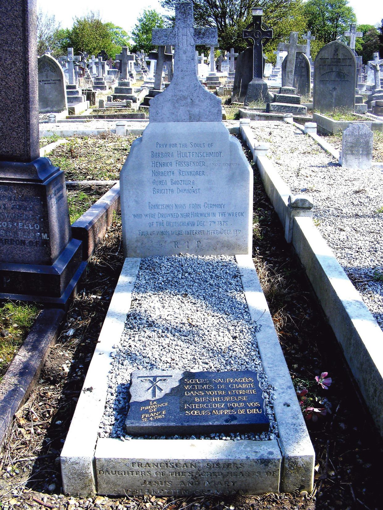 Die Märtyrerinnen und das Priestertum der Frau