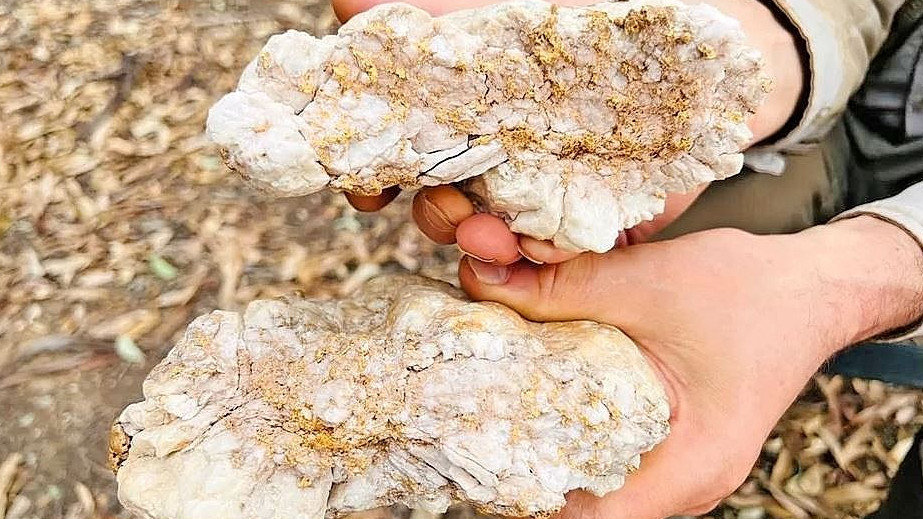 Hobbysucher findet riesiges Gold-Nugget in Australien mit ...