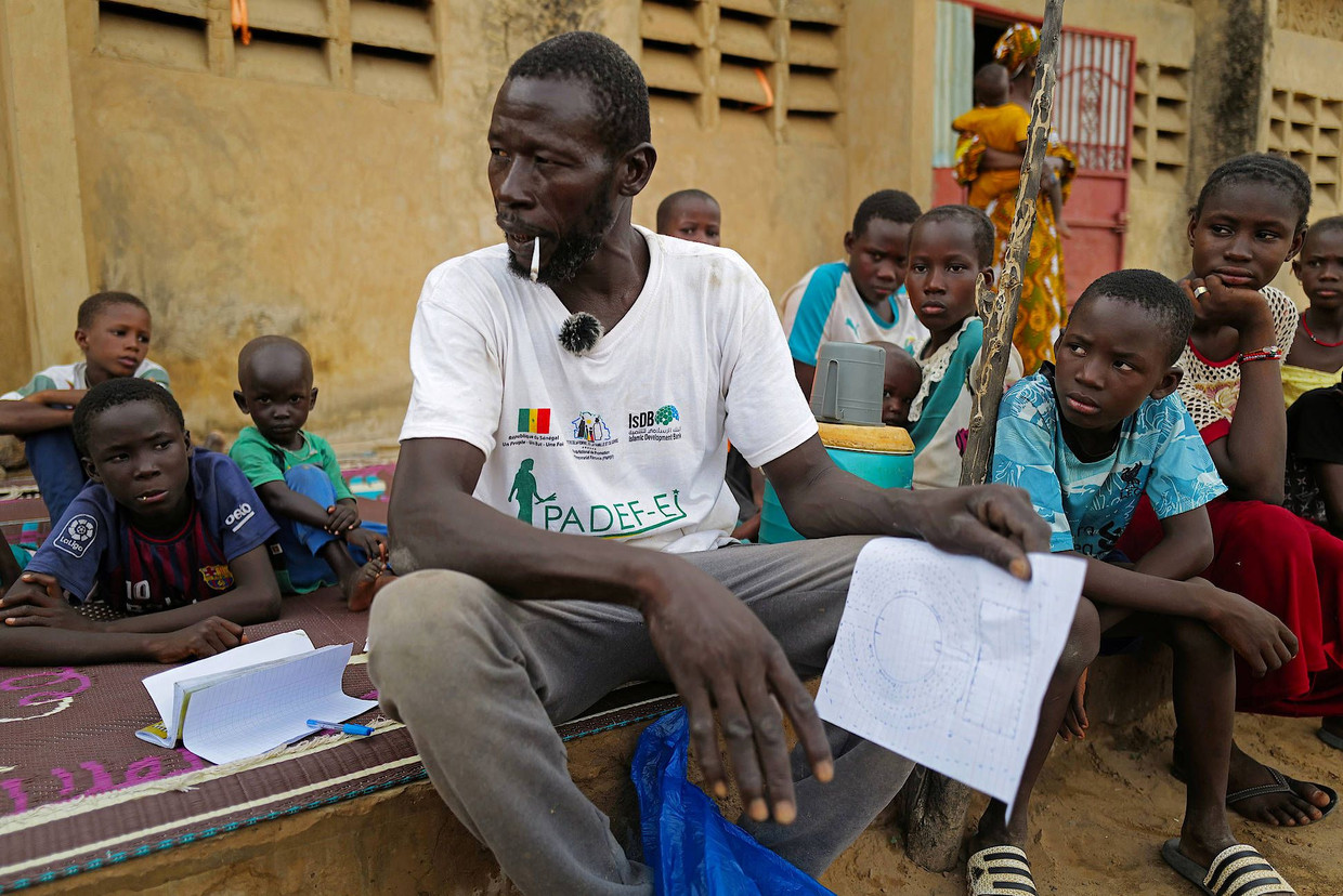 Fotoreportage: Great Green Wall Projekt im Senegal | FAZ