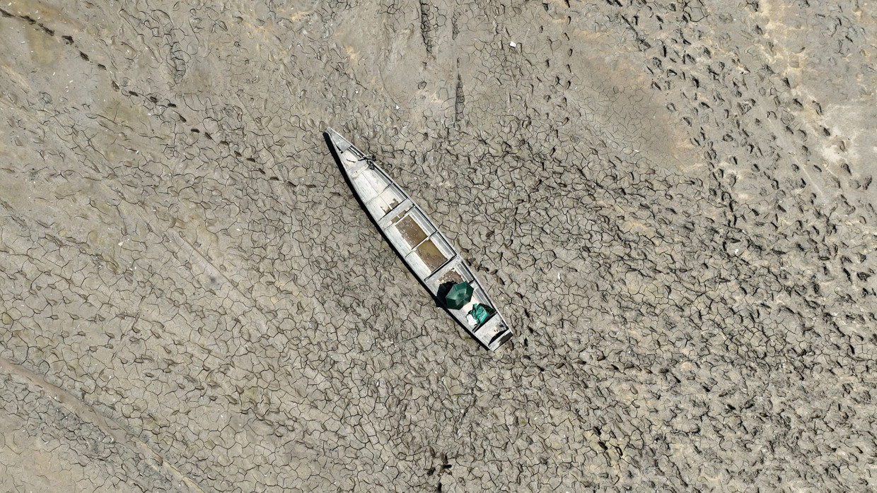 Dürre am Amazonas: Welche Folgen Trockenheit und Hitze im Regenwald haben