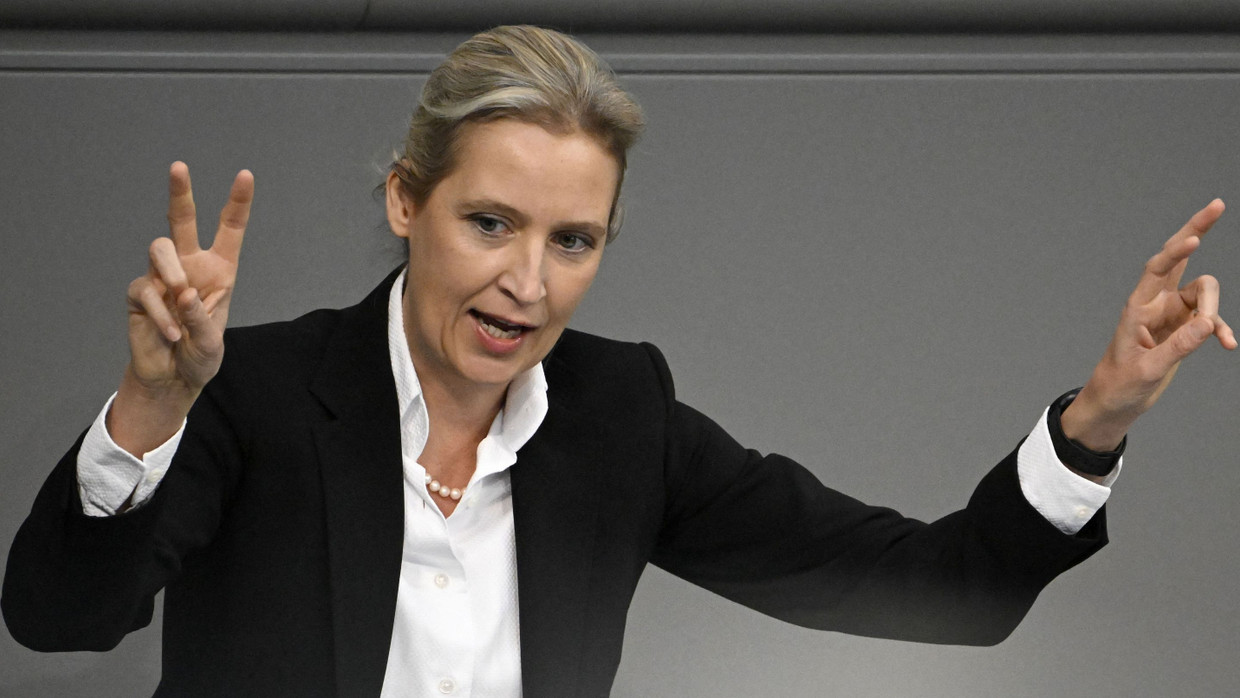 AfD-Chefin Alice Weidel lobt Twitter-Kurs von Elon Musk