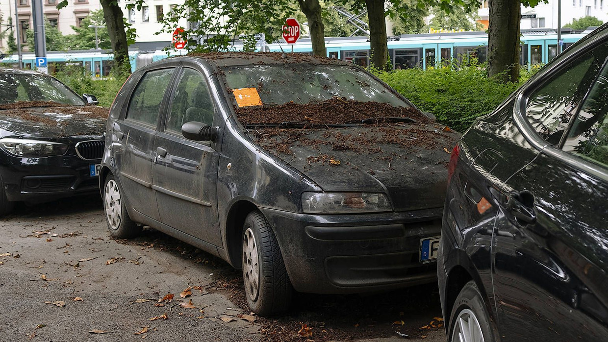Endstation Straßenrand: Was passiert mit „Schrottautos“?