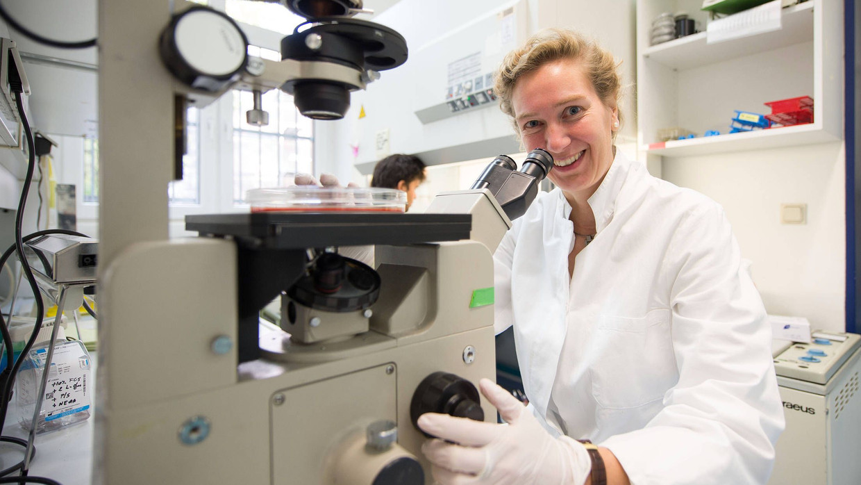Viele Wissenschaftler wollen im Ausland an die Uni
