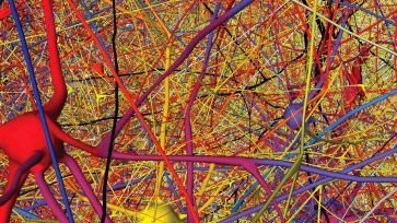 EU-Brain-Projekt auf neuen Wegen: Macht endlich etwas aus dem Gehirn