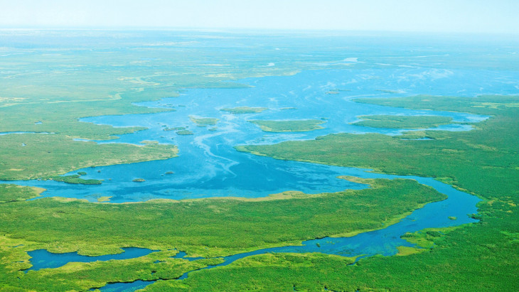 Wissen: Nachrichten aus der Welt der Wissenschaft | FAZ