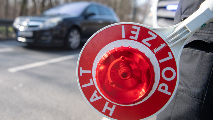 Frankfurt-Bonames: Ein erster Biber nagt an Nidda-Weiden
