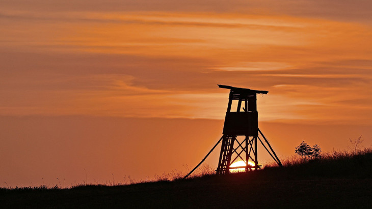 Erste und letzte „Miss DDR“: Ein schönes Miss-Geschick