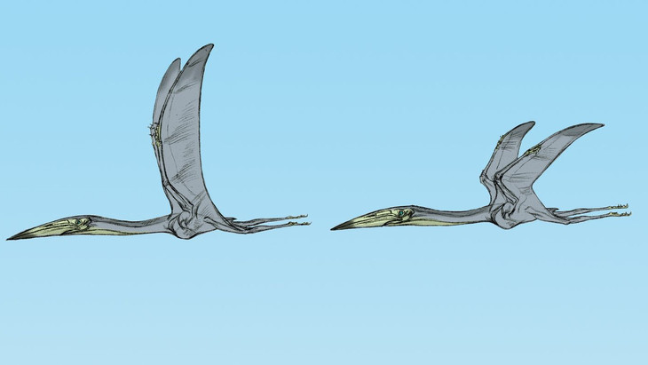 Wissen: Nachrichten aus der Welt der Wissenschaft | FAZ