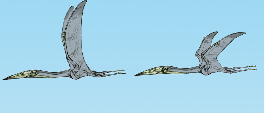 Wissen: Nachrichten aus der Welt der Wissenschaft | FAZ